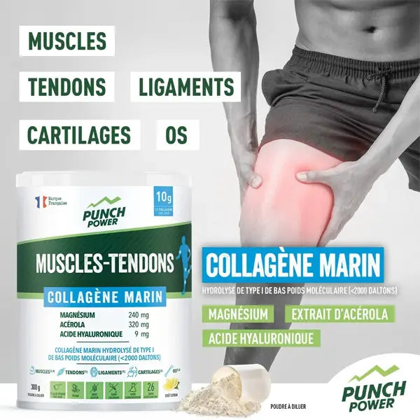 Nutri-Bay | PUNCH POWER - Collagène Marin - Muscles & Tendons (300g ...